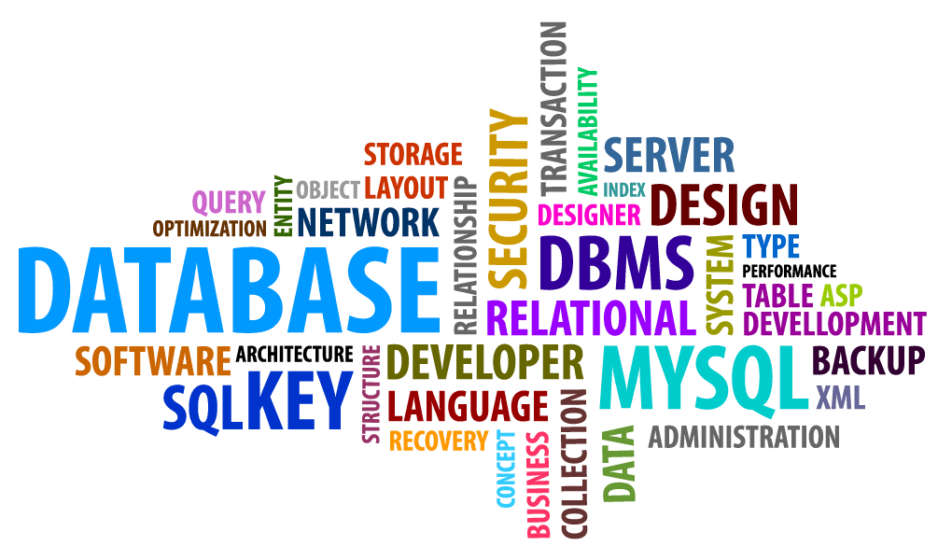 Learn Database Before Coding programming Ibexoft